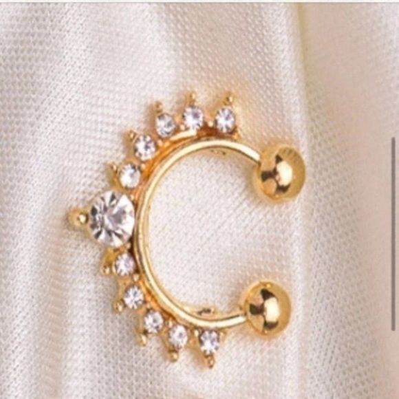 Jewelry | 33 Luxury Nose Ring | Poshmark
